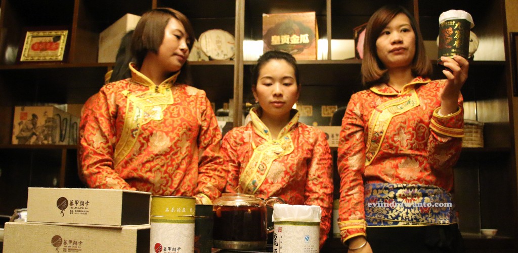 Rumah Teh Tibet Sichuan, Aroma Manis Teh Putih | Jurnal Evi Indrawanto