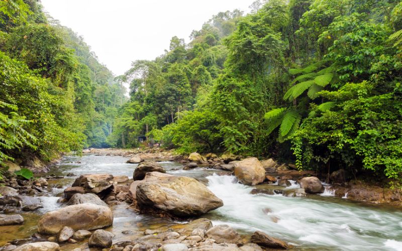 Melintasi Taman Nasional Bukit Barisan Selatan, Menembus Hutan